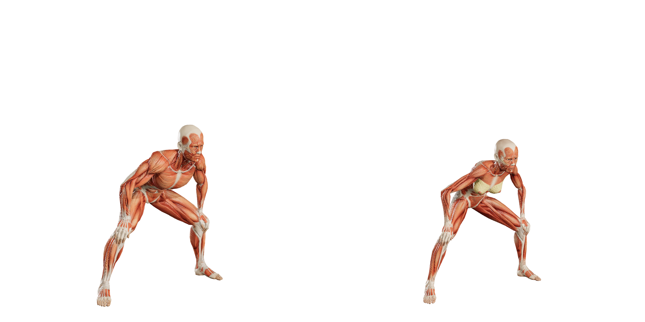 Pose 0000018, Male, Squatting | POSEMANIACS - Royalty free 3d pose ...