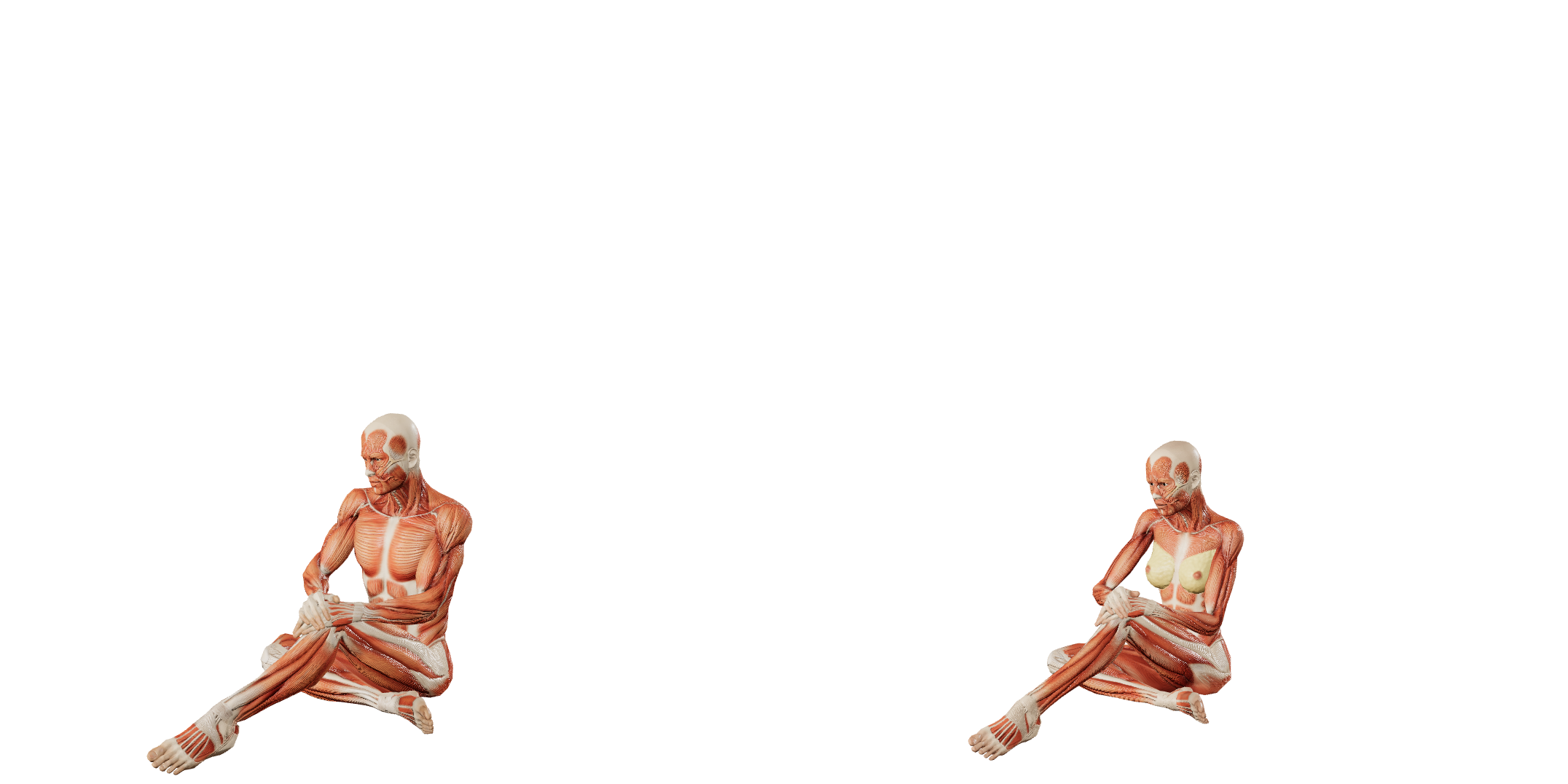 Pose 0000036, 남성, 앉은 자세 | POSEMANIACS - Royalty free 3d pose reference for all artists