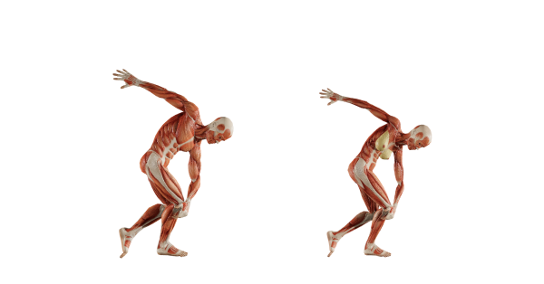 Pose 0000085, Male, Standing, Body building, Sports | POSEMANIACS ...