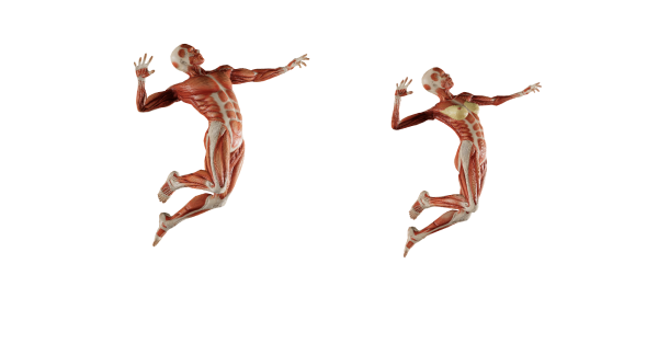 Pose 0000089, Male, Jumping, Sports, Twisting body, Raising arm ...